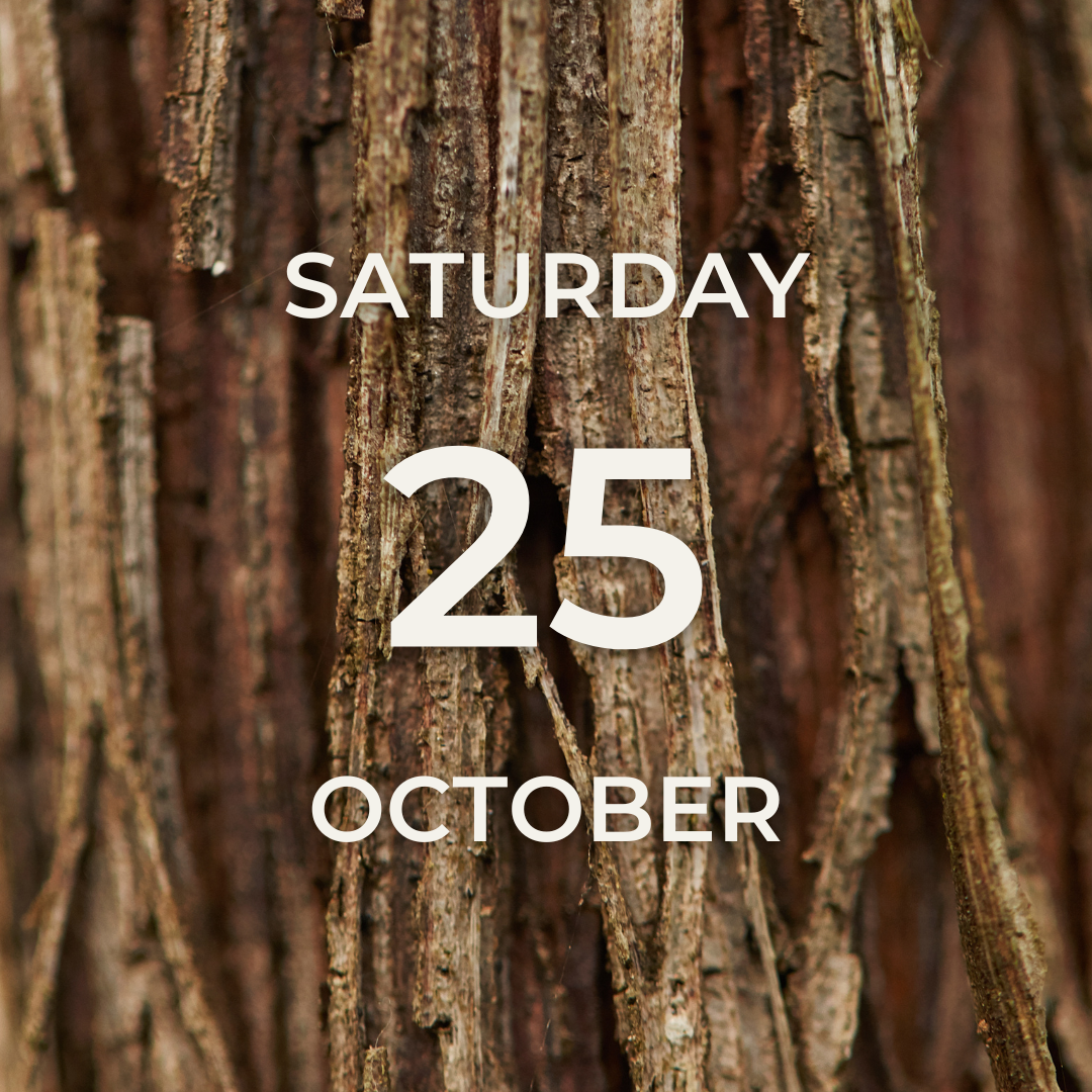 Vineyard Tour & Tasting - Saturday 25th October - The Grange