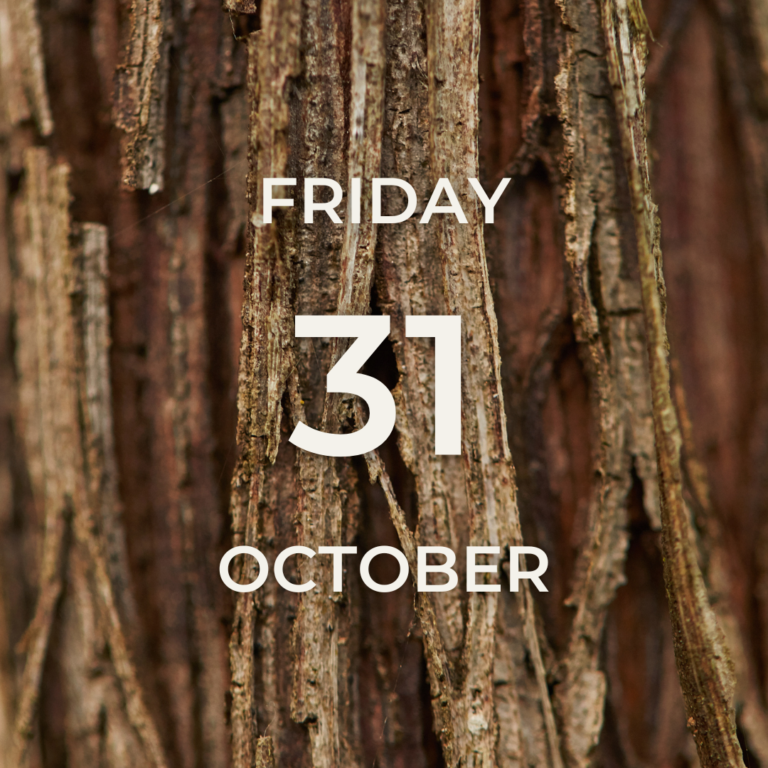 Vineyard Tour & Tasting - Friday 31st October - The Grange